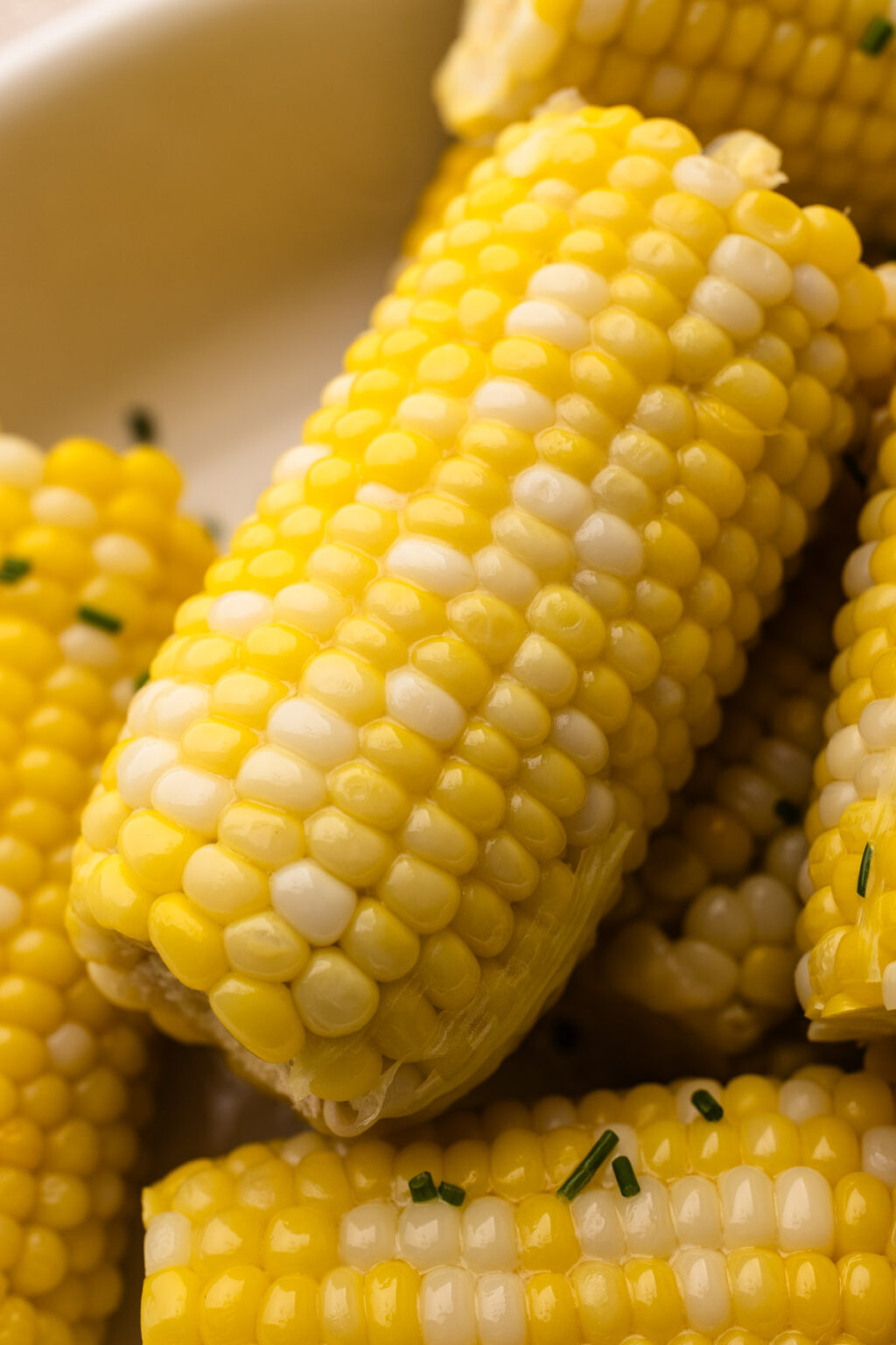 Instant Pot Corn on the Cob - Everyday Family Eats