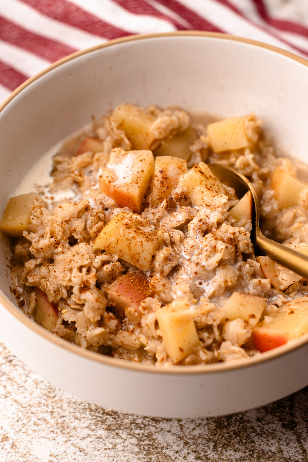 Apple Cinnamon Oatmeal - Everyday Family Eats