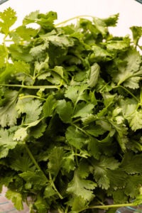 Creamy Cilantro Sauce - Everyday Family Eats