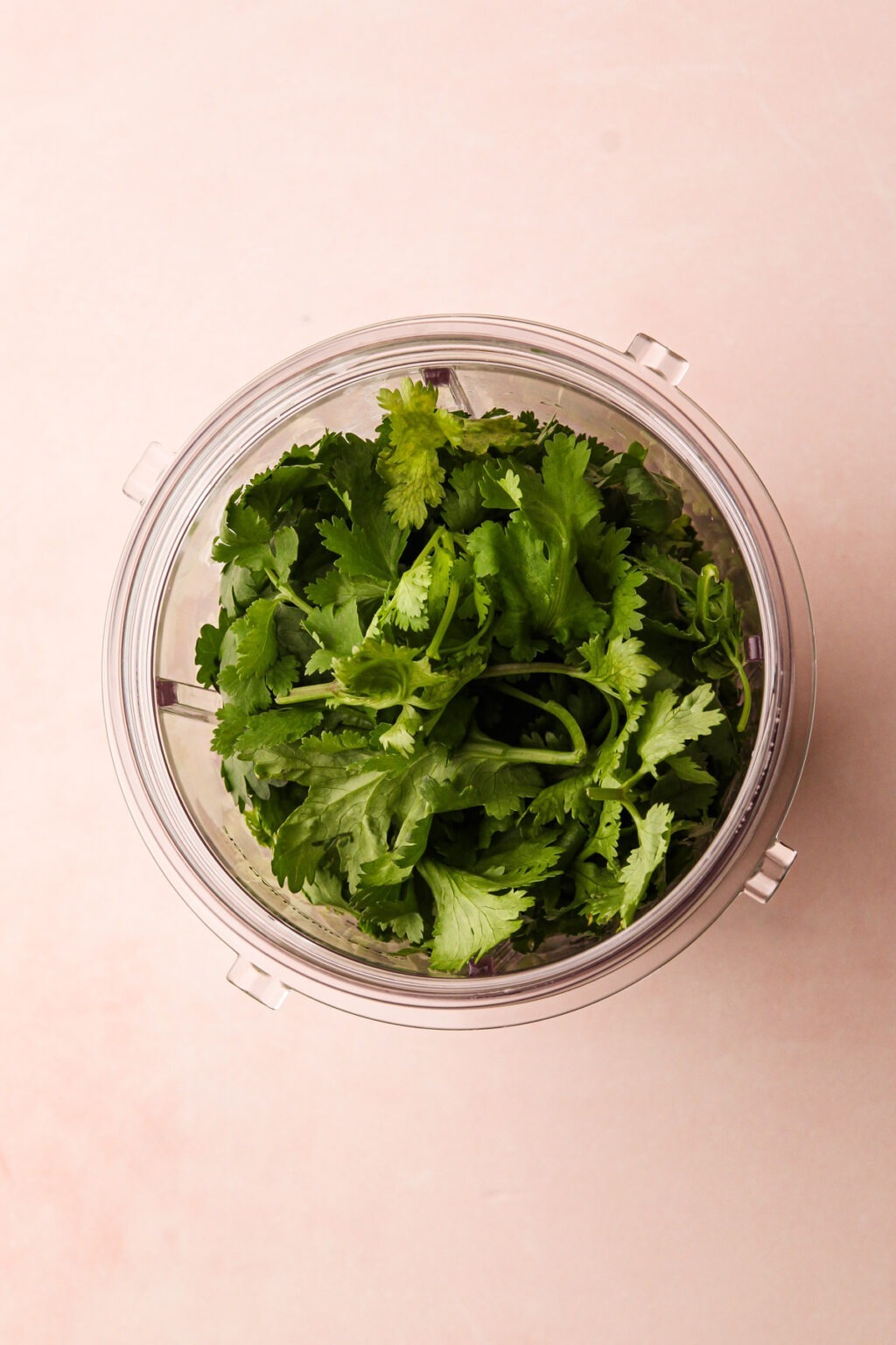 Creamy Cilantro Sauce - Everyday Family Eats